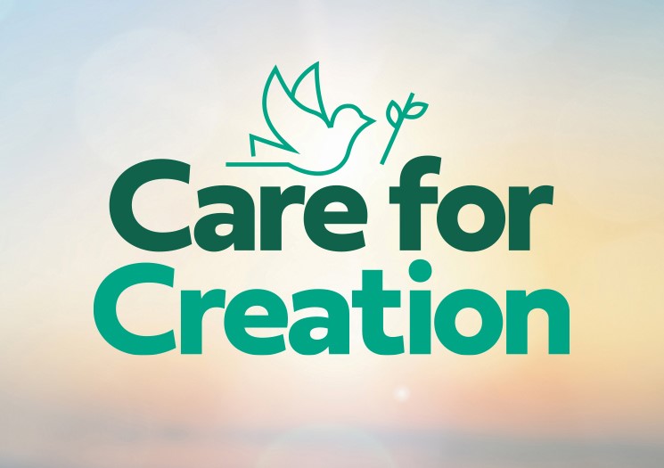 Care for Creation | Redeemer Health
